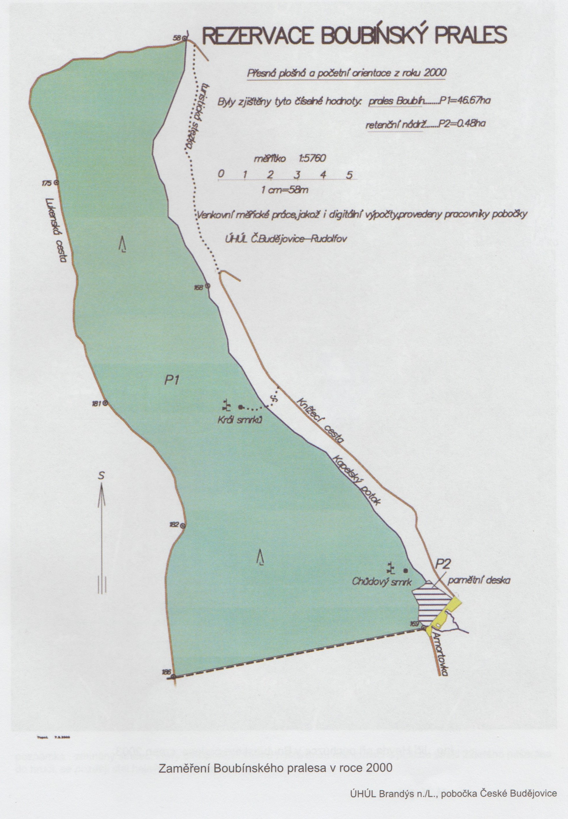 Uzavření boubínského pralesa je národní tragédií způsobenou ochranáři ...